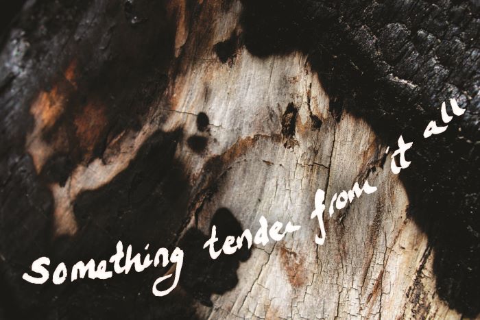 Something Tender from it All | Department of Art - The University of ...