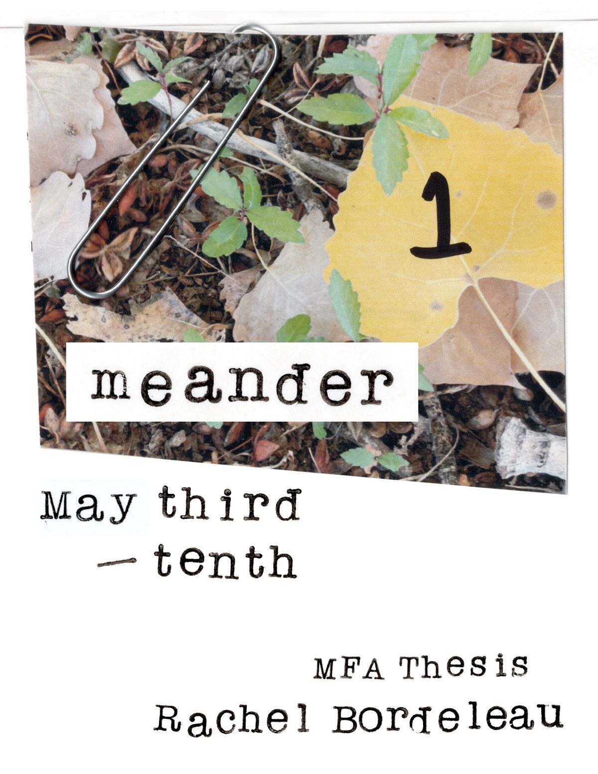 Meander by Rachel Bordeleau | Department of Art - The University of New ...